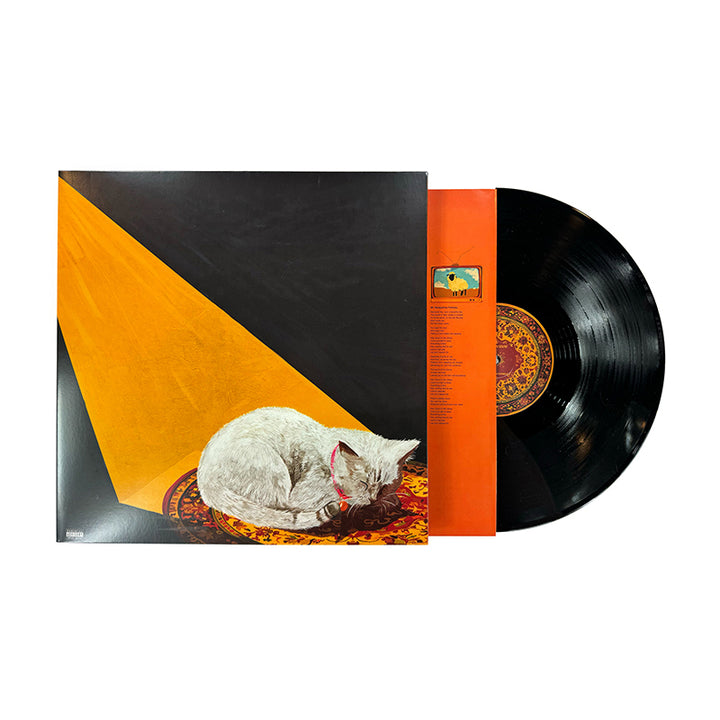 Joywave - Official Merch Store