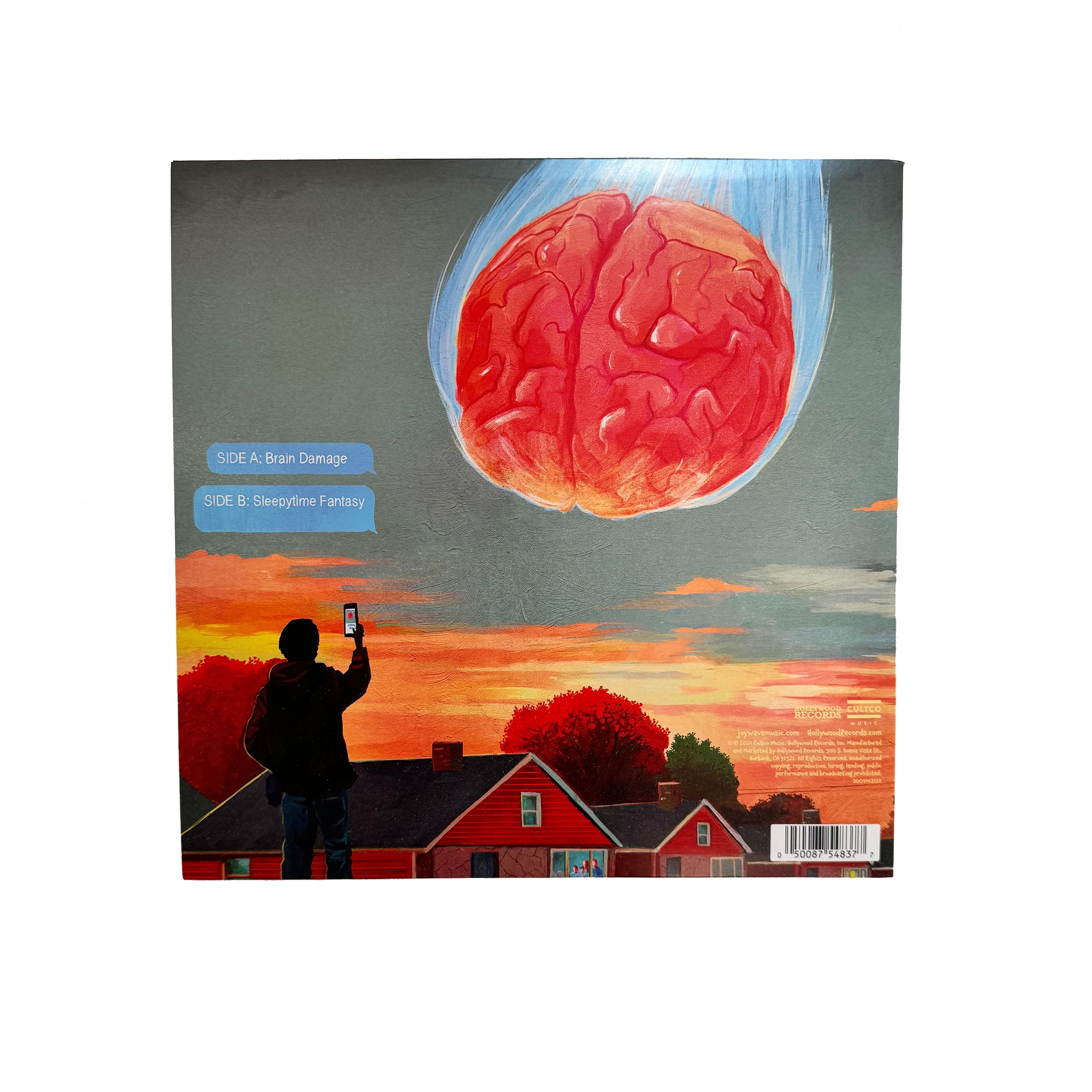 Brain Damage Custom Shaped 10" Picture Disc Vinyl – Joywave